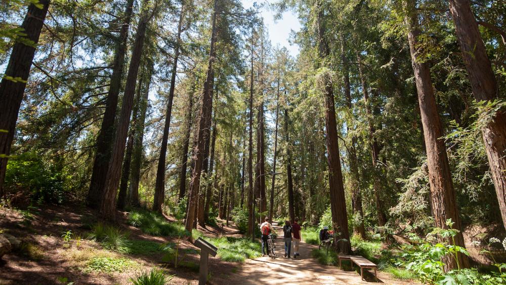 The UC Davis Arboretum | Conference and Event Services