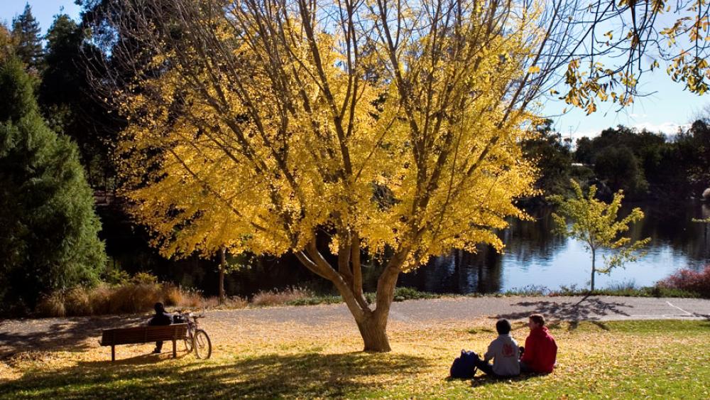 The UC Davis Arboretum | Conference and Event Services